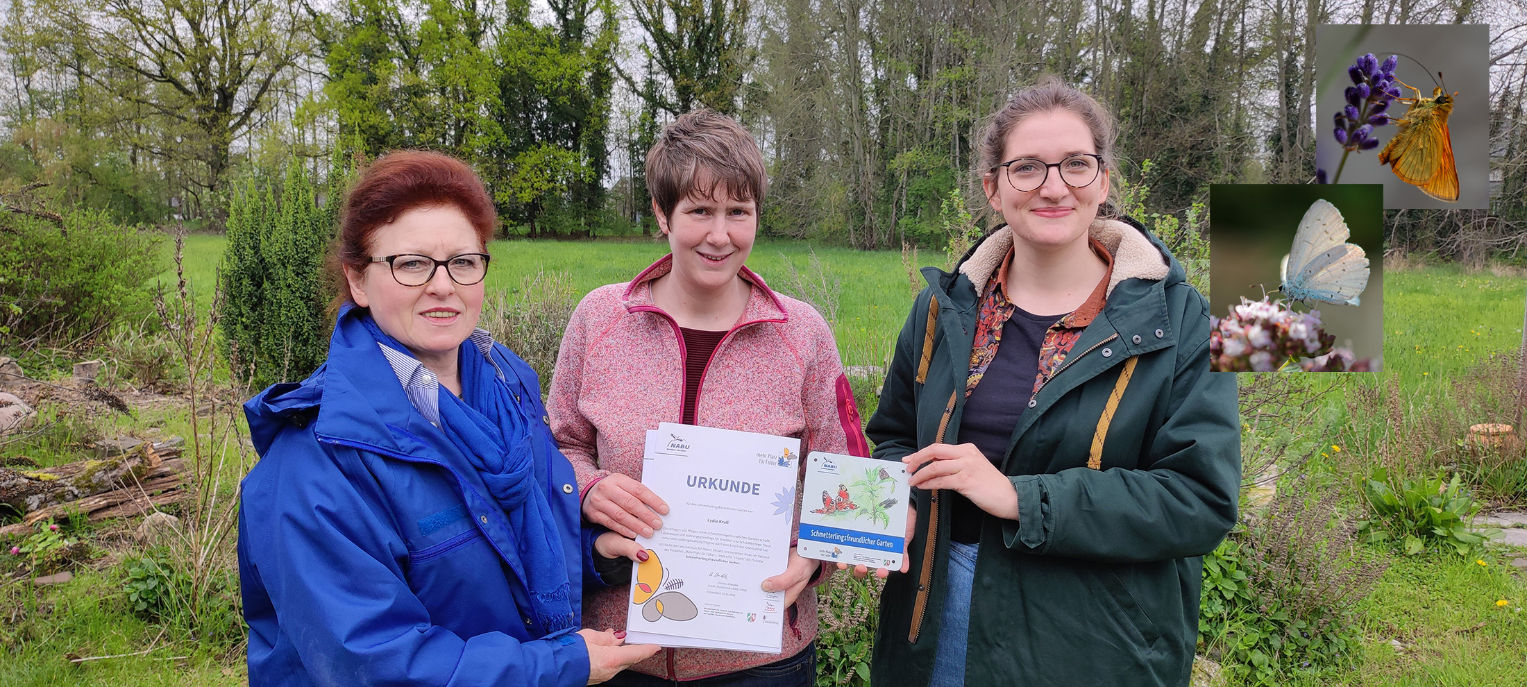Ein kleines Paradies für Schmetterlinge... - NABU Gütersloh